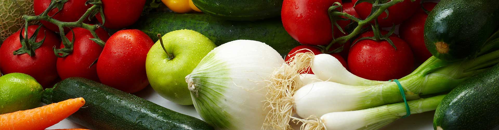 Home [www.logan-can.org.au]